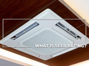 What Is SEER?